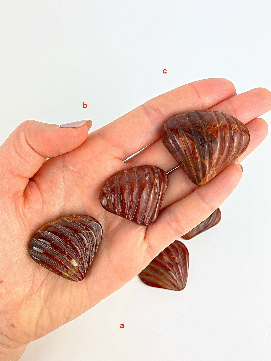Red Jasper Shells From Brazil/red Jasper Crystal/red Jasper Stone/red ...