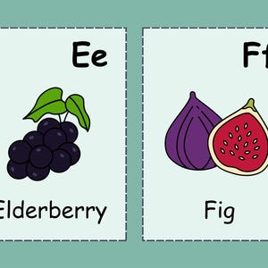 Alphabet Flashcards With Items That Relate to the Letter. Perfect for ...