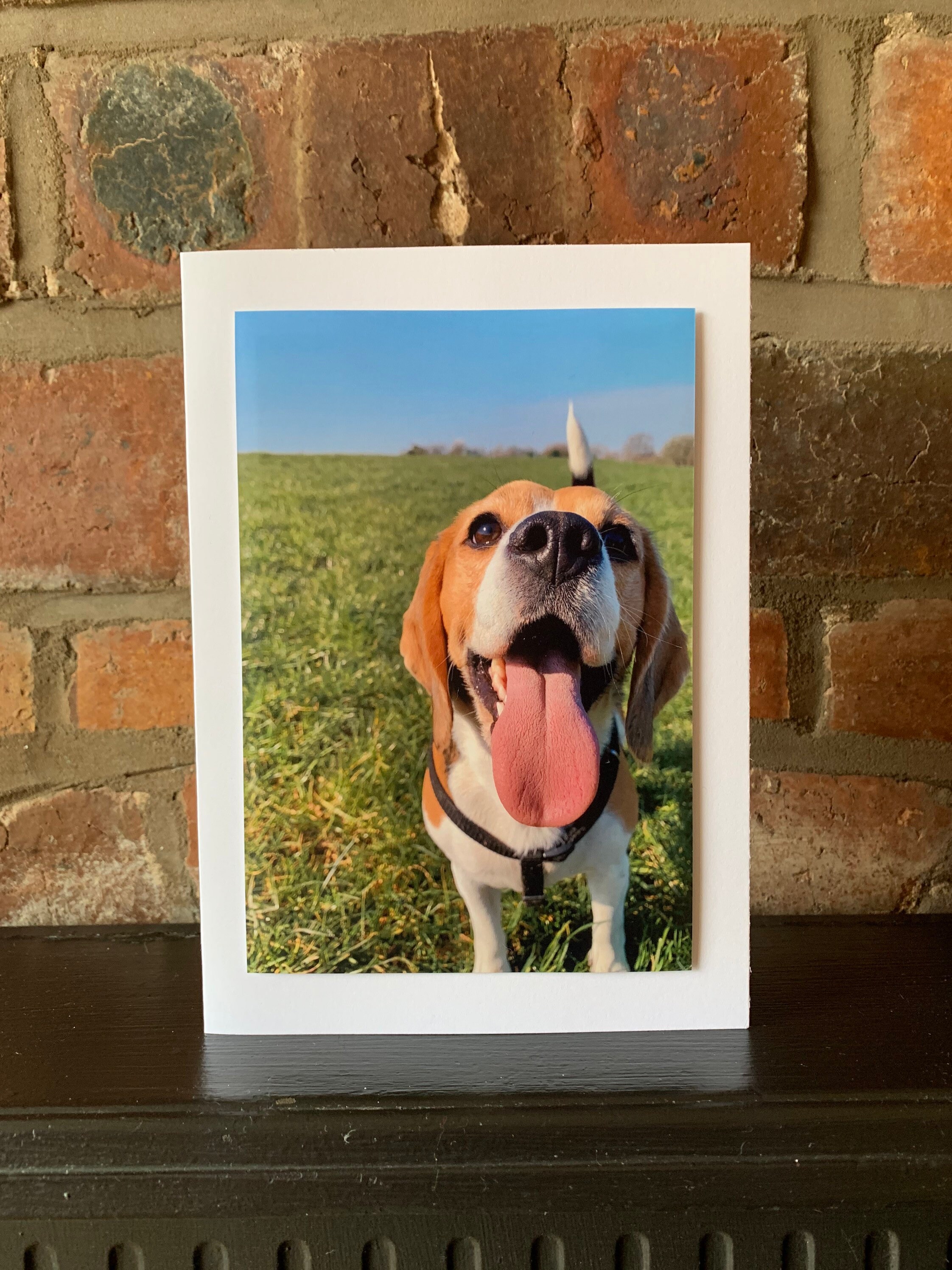 Tongue Out Tuesday Tinkerbelle Beagle, Any Occasion Card - Etsy