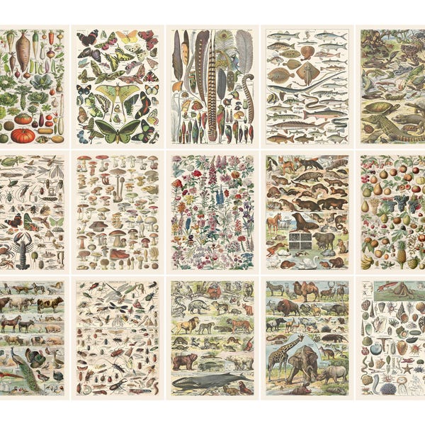 Nature Infographics - Etsy UK