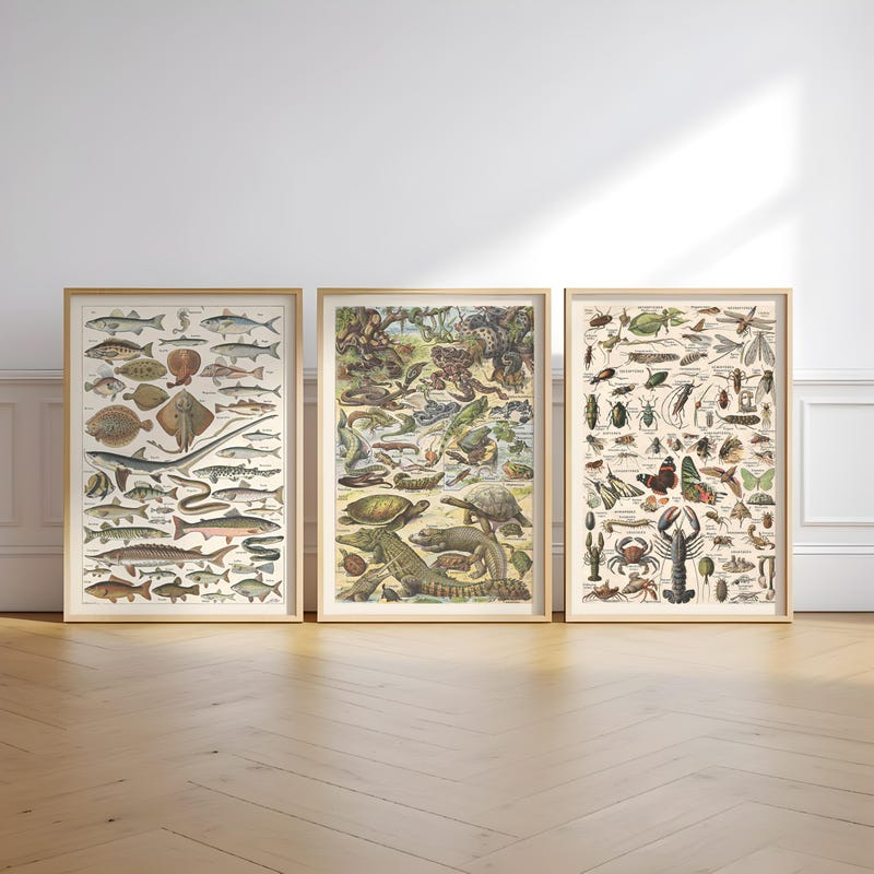 Science Poster Wallpaper - Etsy UK