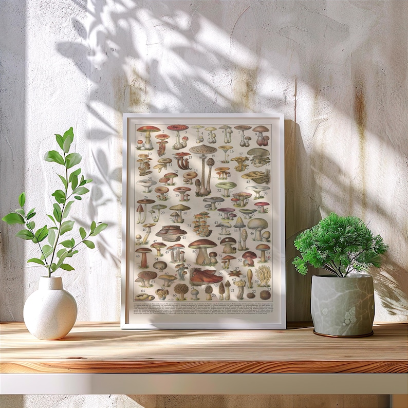 Vintage Biology Posters: Science Classroom Wall Art (digital Download ...