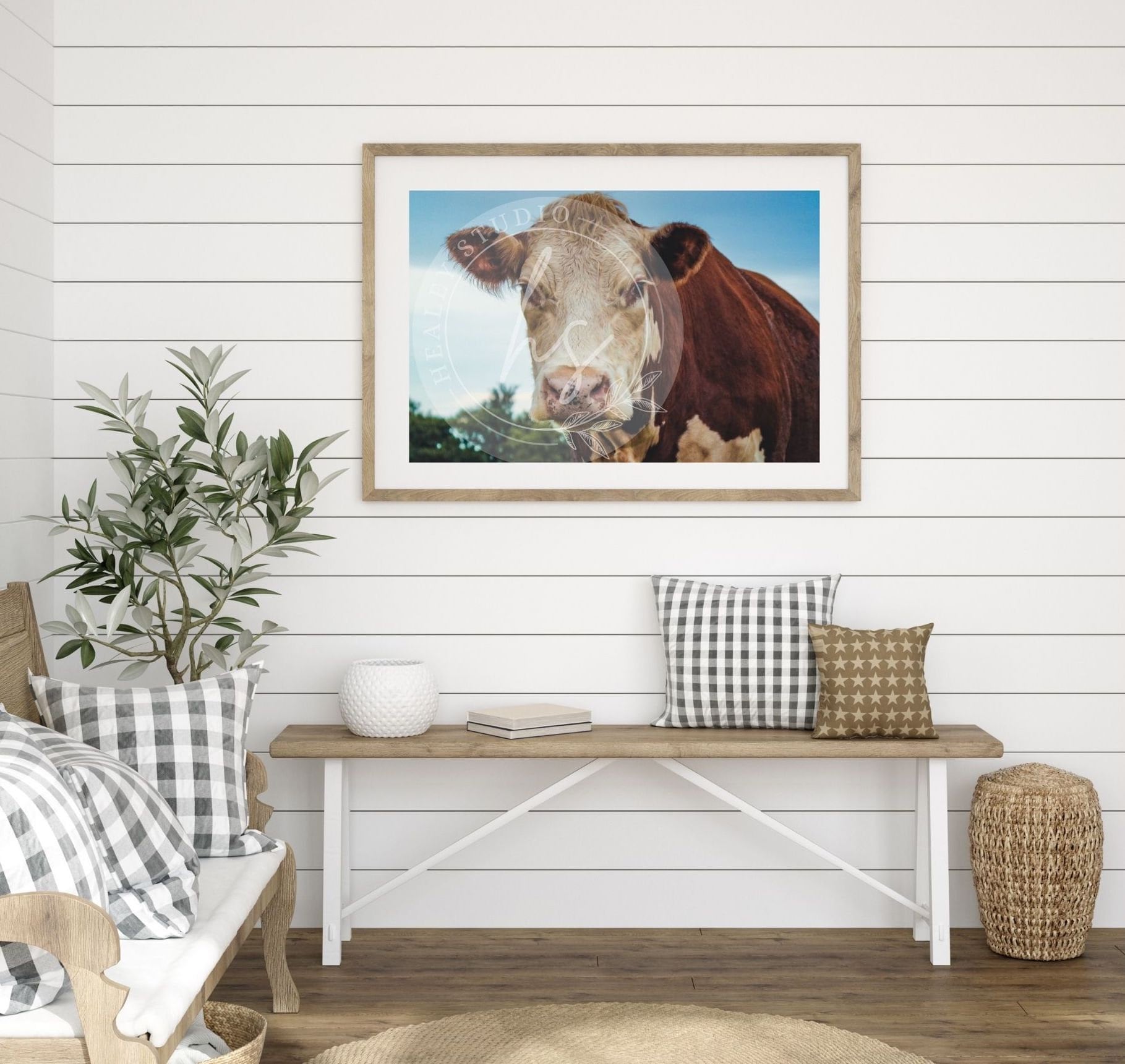 Cow Photography, Hereford, Cow Print, Cow Poster, Animal Print, Cow ...