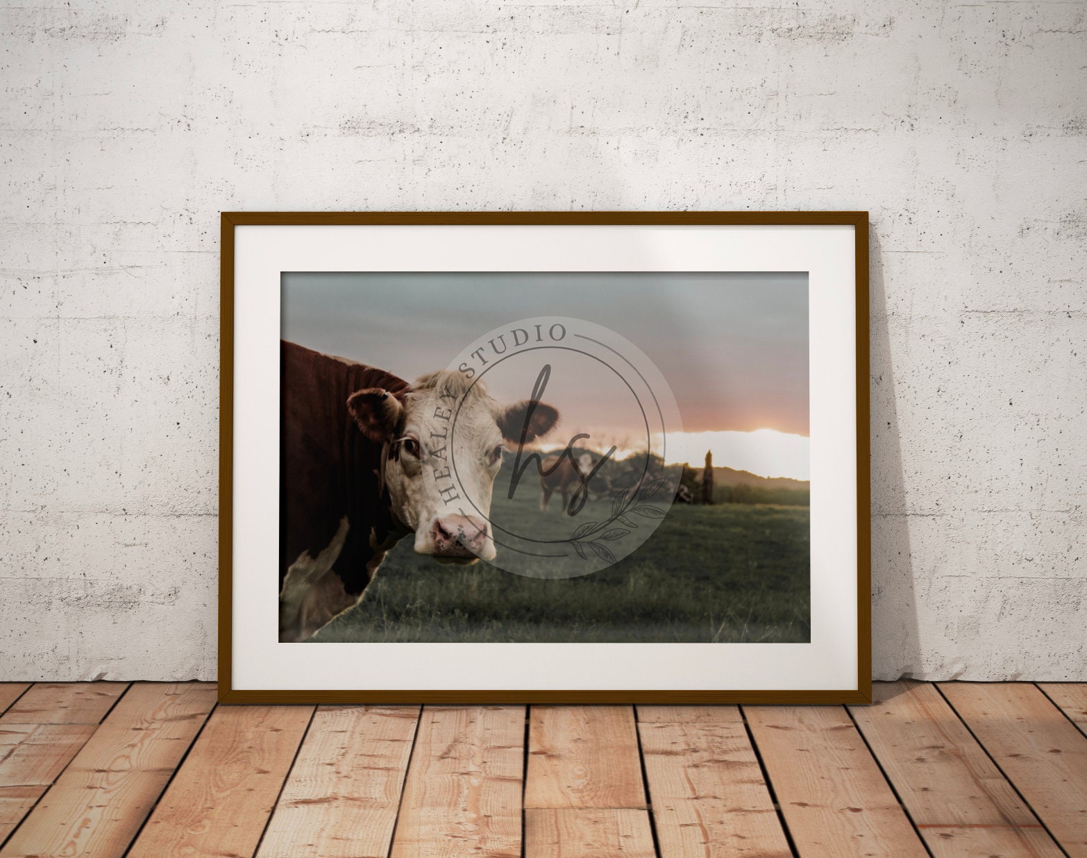 Cow Photography, Hereford, Cow Print, Cow Poster, Animal Print, Cow ...