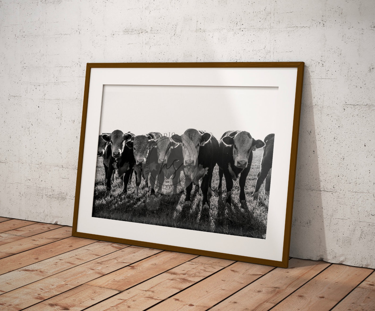 Bull Photo, Hereford Bull, Cow Print, Digital Download, Farm Animal ...