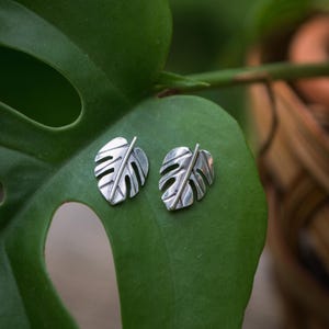 Monstera Stud Earrings, Monstera Leaf Earrings, Gifts for Houseplant Lovers, Monstera Studs ...