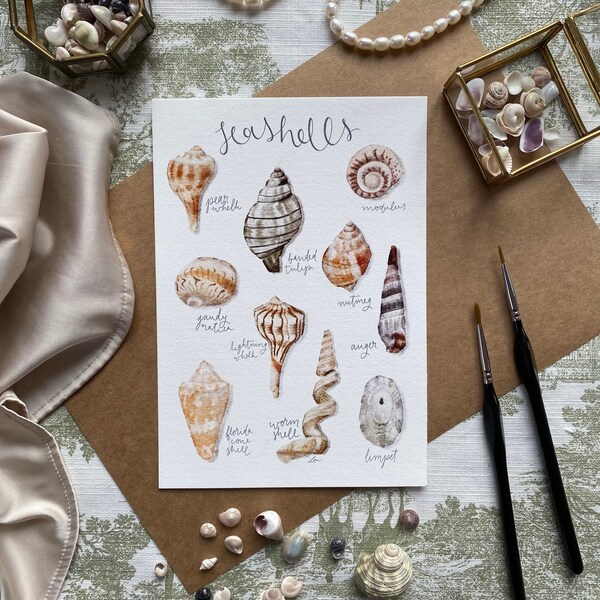 Vintage Seashell Art - Etsy
