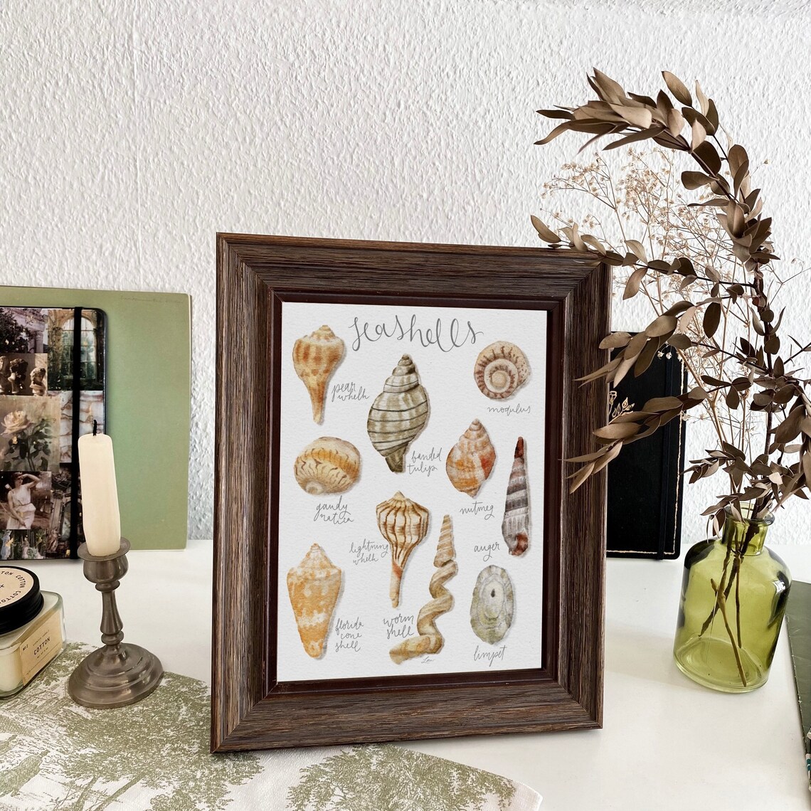 Seashell Reference Chart Watercolor Fine Art Print Vintage - Etsy