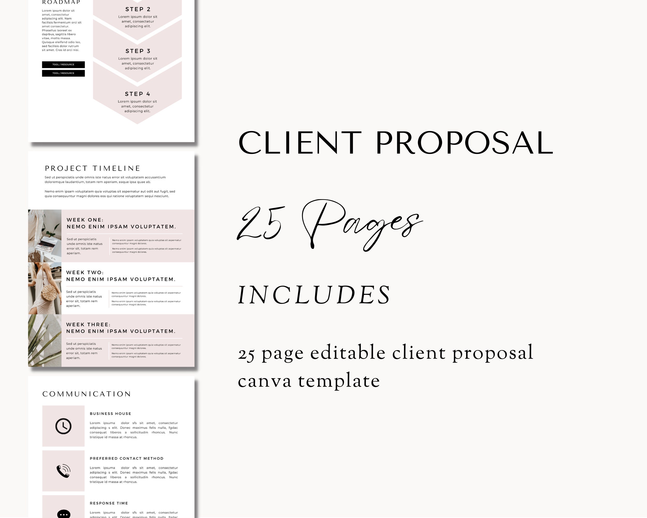 Client Proposal Template, Business Proposal Template, Virtual Assistant ...