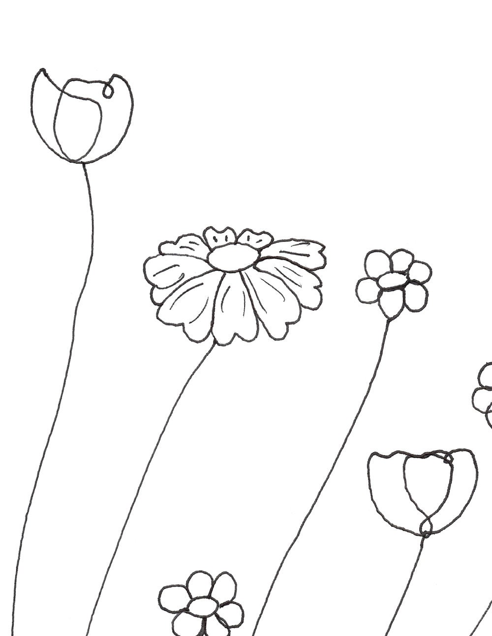 Summer Wildflower Line Art / Set of 3 / Daisy and Poppy Line Art ...