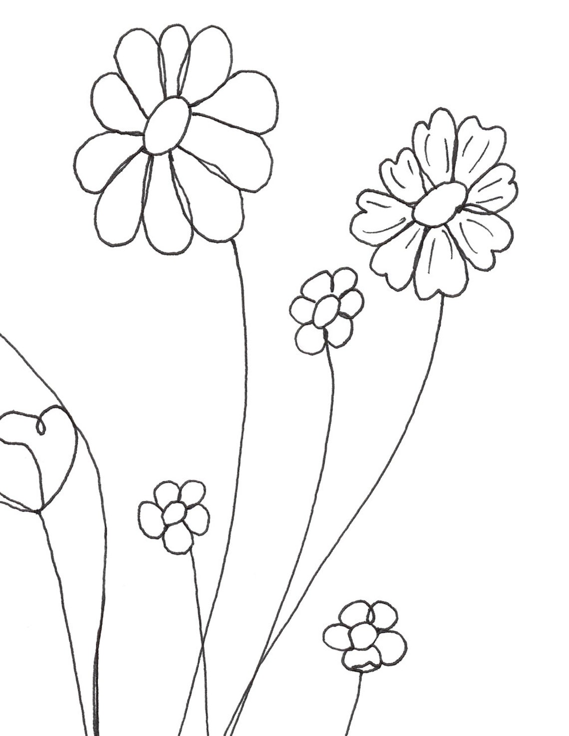 Summer Wildflower Line Art / Set of 3 / Daisy and Poppy Line Art ...