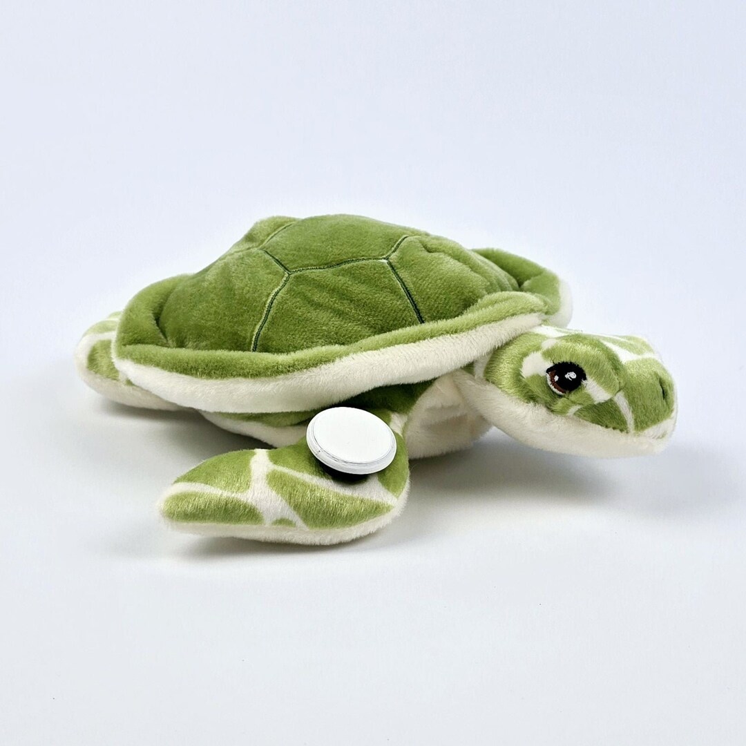 Tim the Turtle - Etsy
