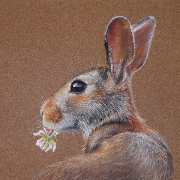 Soft Pastel Painting - Etsy