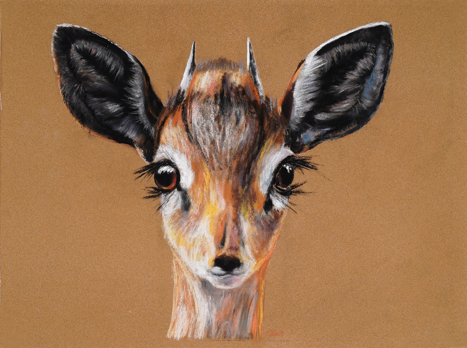 Antelope Original Pastel Painting. African Wildlife Art. Animals ...
