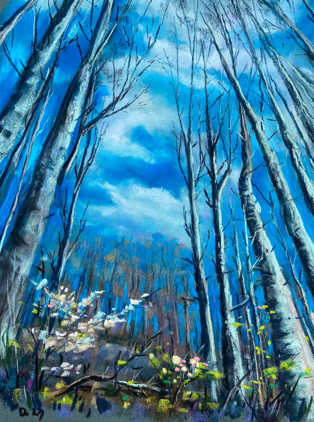 Germany Woods Landscape Painting. Blue Sky in the Forest. Hiking ...