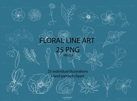 Flowers Clipart Flower Outlines Floral Line Art 25 Floral - Etsy