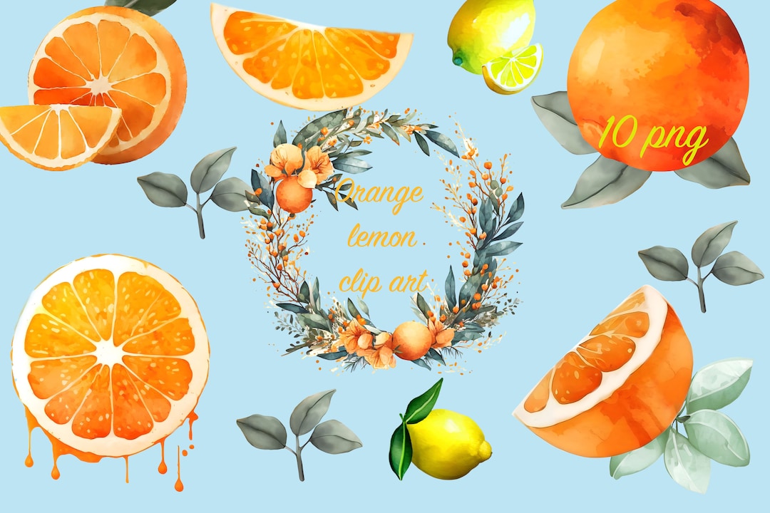 Citrus, Orange, Lemon Clipart Graphic, Digital Download, Sublimation ...