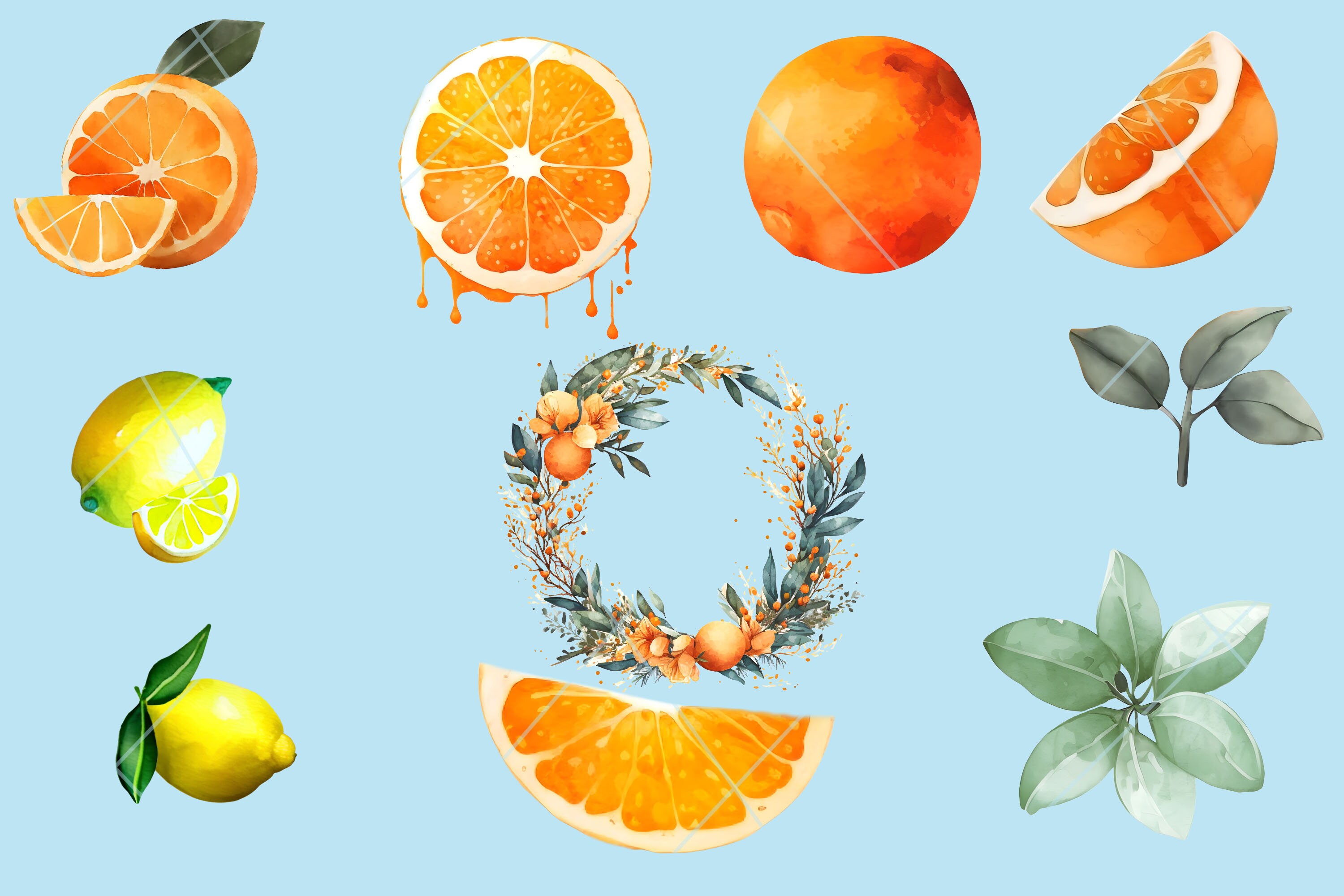 Citrus, Orange, Lemon Clipart Graphic, Digital Download, Sublimation ...