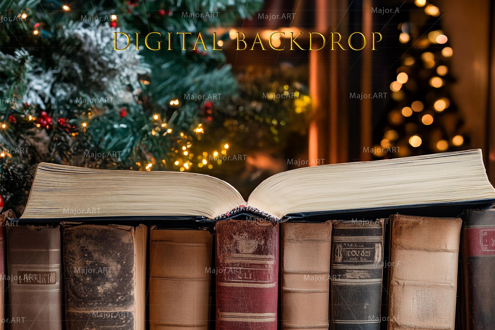 Book Lover Digital Backdrop, Photo Background, Photoshop Backdrop ...