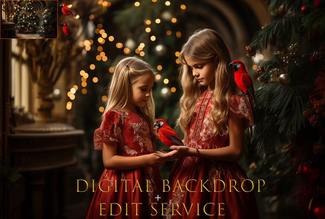 Digital Backdrop, Add Person Photo Editing Photoshop Service, Face Swap ...