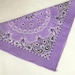 Ice Bandana, Ice Pocket Bandana, Cooling Bandana - Etsy