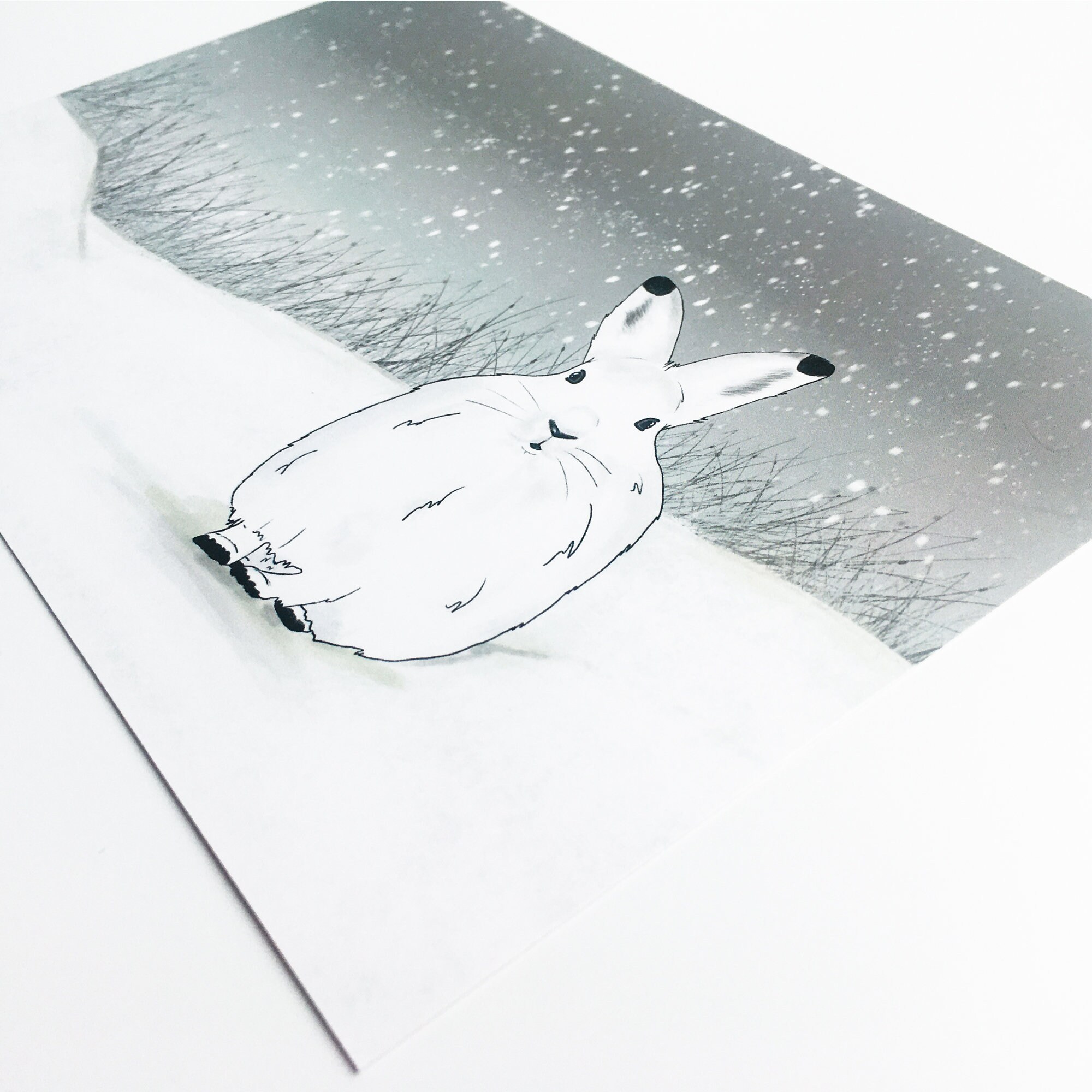 Art Print Arctic Hare | Illustration, Digital Drawing, Nature, Winter ...