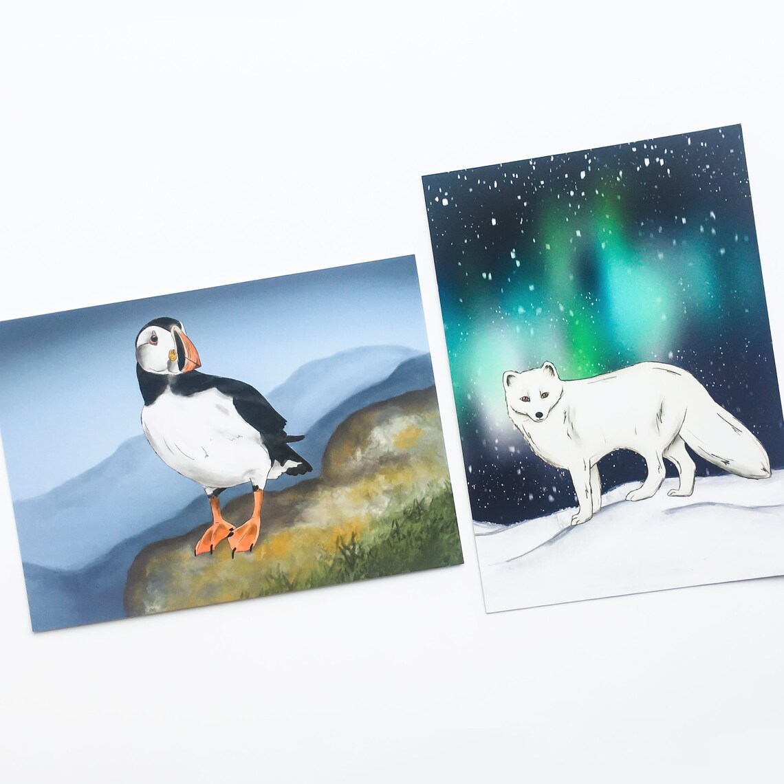 Postcard Puffin | Illustration, Digital Drawing, Nature, Landscape ...