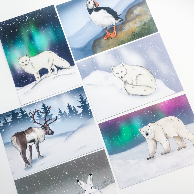 Art Print Talvi Arctic Fox | Illustration, Digital Drawing, Nature ...