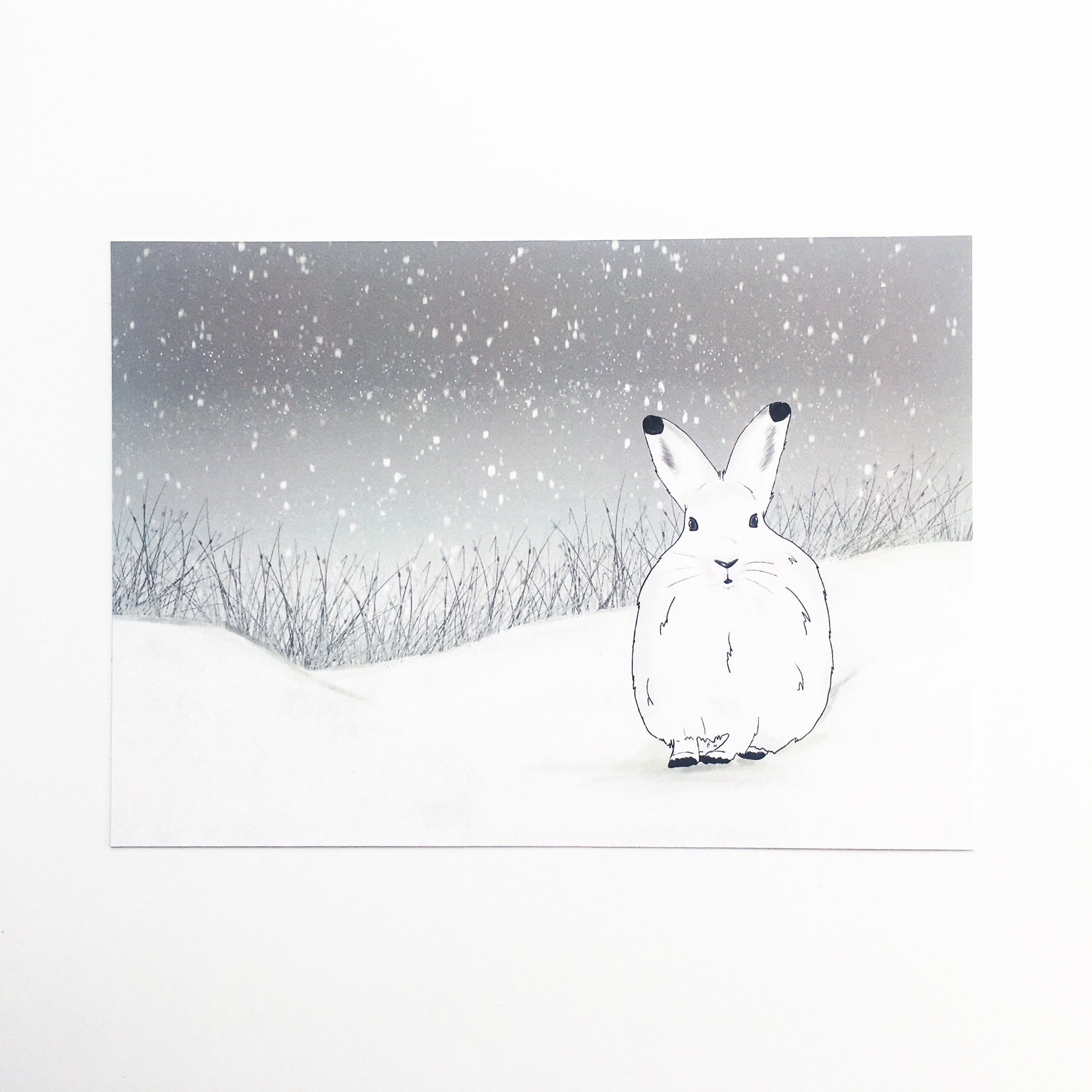 Art Print Arctic Hare | Illustration, Digital Drawing, Nature, Winter ...