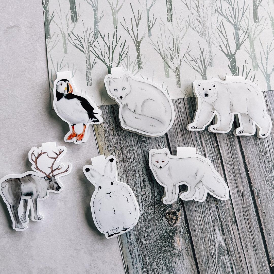 Magnetic Bookmark Arctic Animals | Watercolor, Photo Paper, Handmade - Etsy