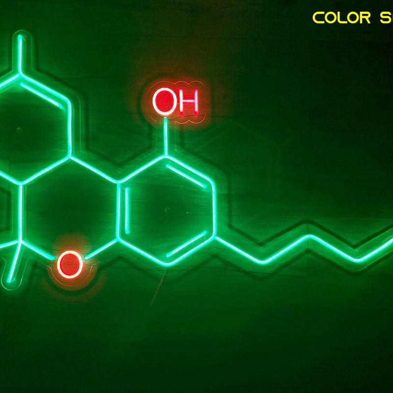 Neon Light - Etsy