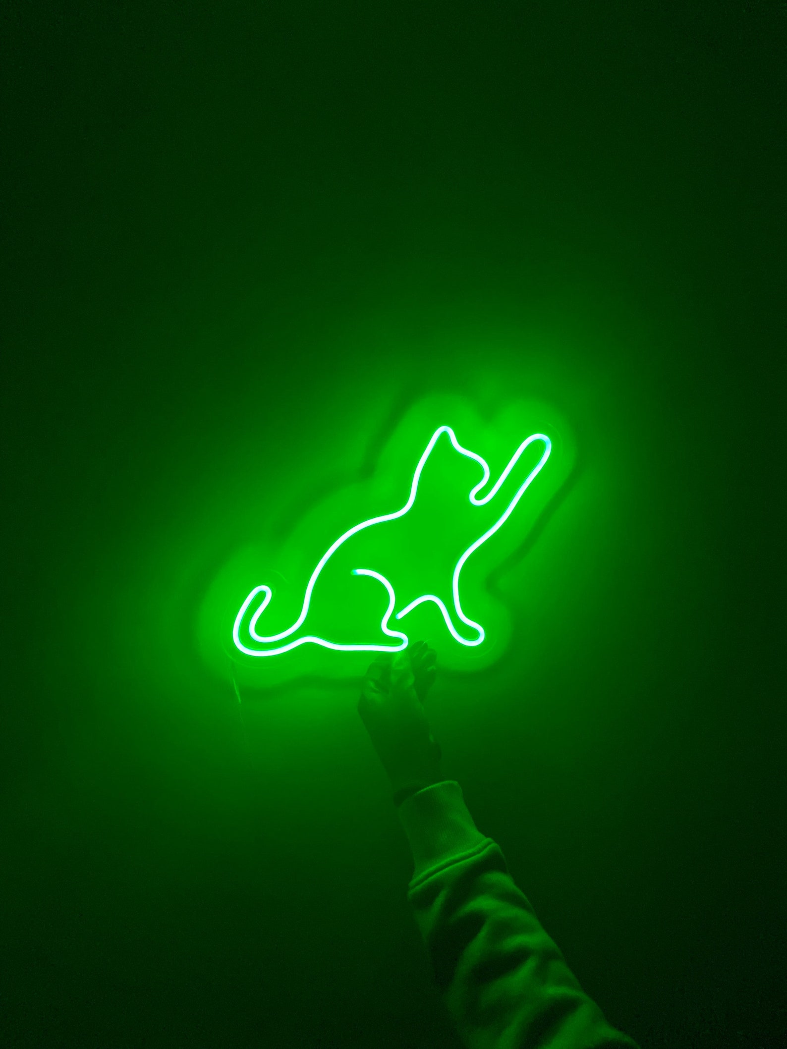 Cat Neon Sign Cat Wall Decor Neon Sign Bedroom Neon Light - Etsy