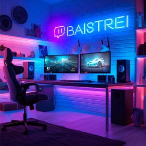 Custom Neon Sign for Gamers | LED Gaming Decor | Twitch Streamer Gift ...