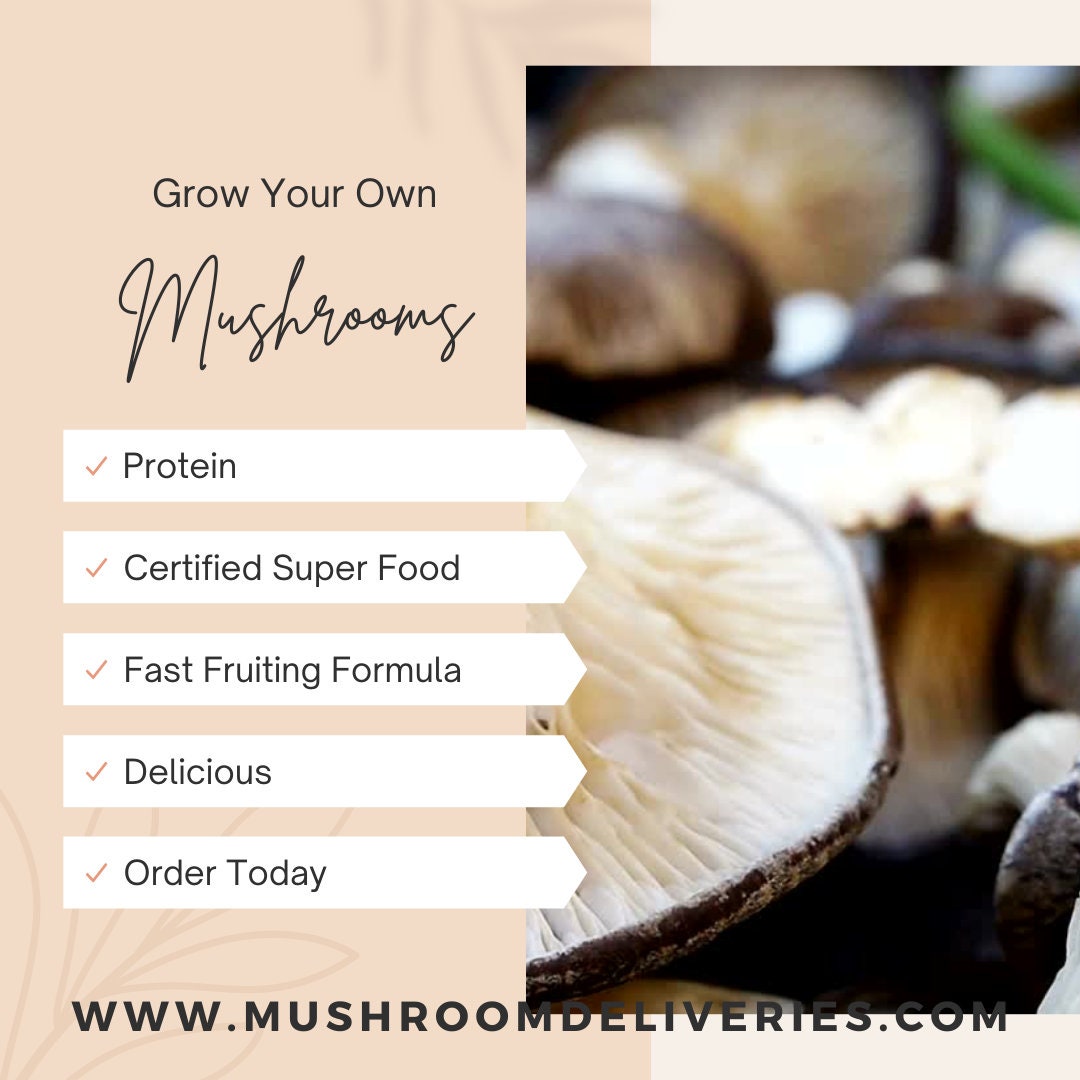 25lb Masters Mushroom Mix (fast Fruiting Mix) | Great Lakes Mushroom ...