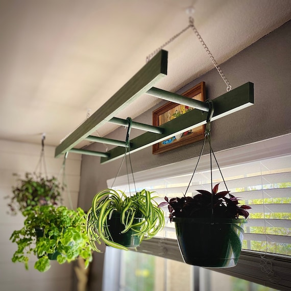 Hanging ladder store