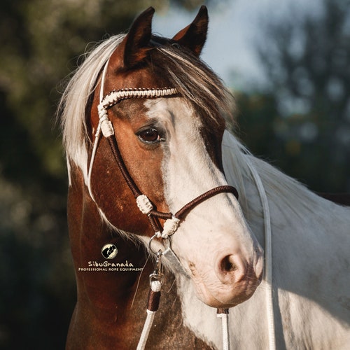 Custom Handmade Rope Horse Sidepull Bitless Bridle Hackamore - Etsy