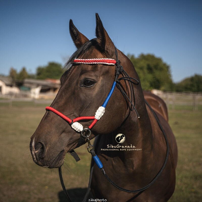Rope Bridle - Etsy