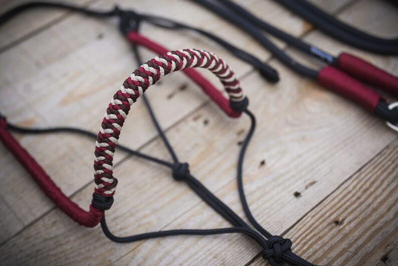 Rope Halter Reins Neckrope Set Sibugranada Heavy Duty Custom Etsy