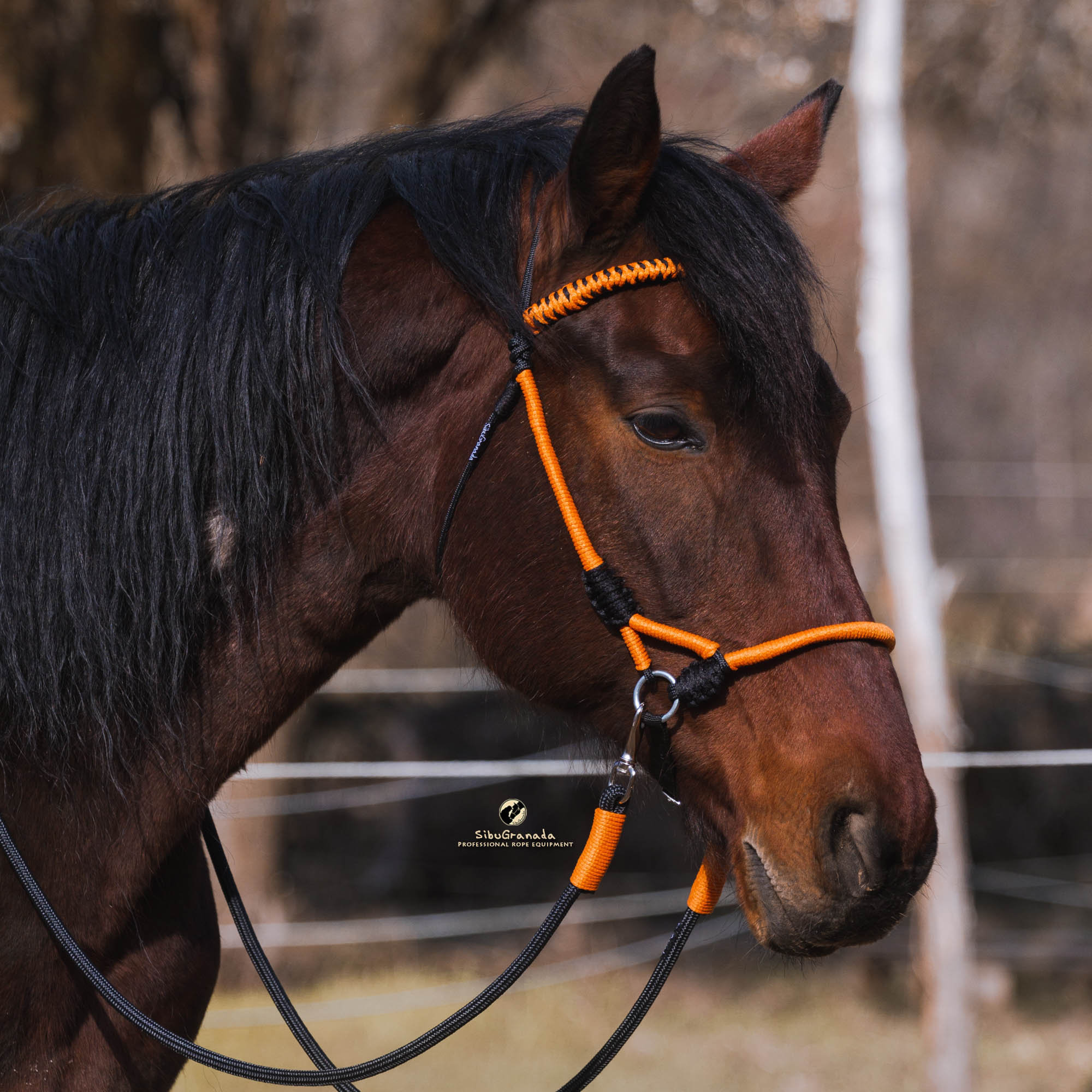 Heavy Duty Custom BITLESS BRIDLE Sibugranada sidepull, Hackamore, Rope ...