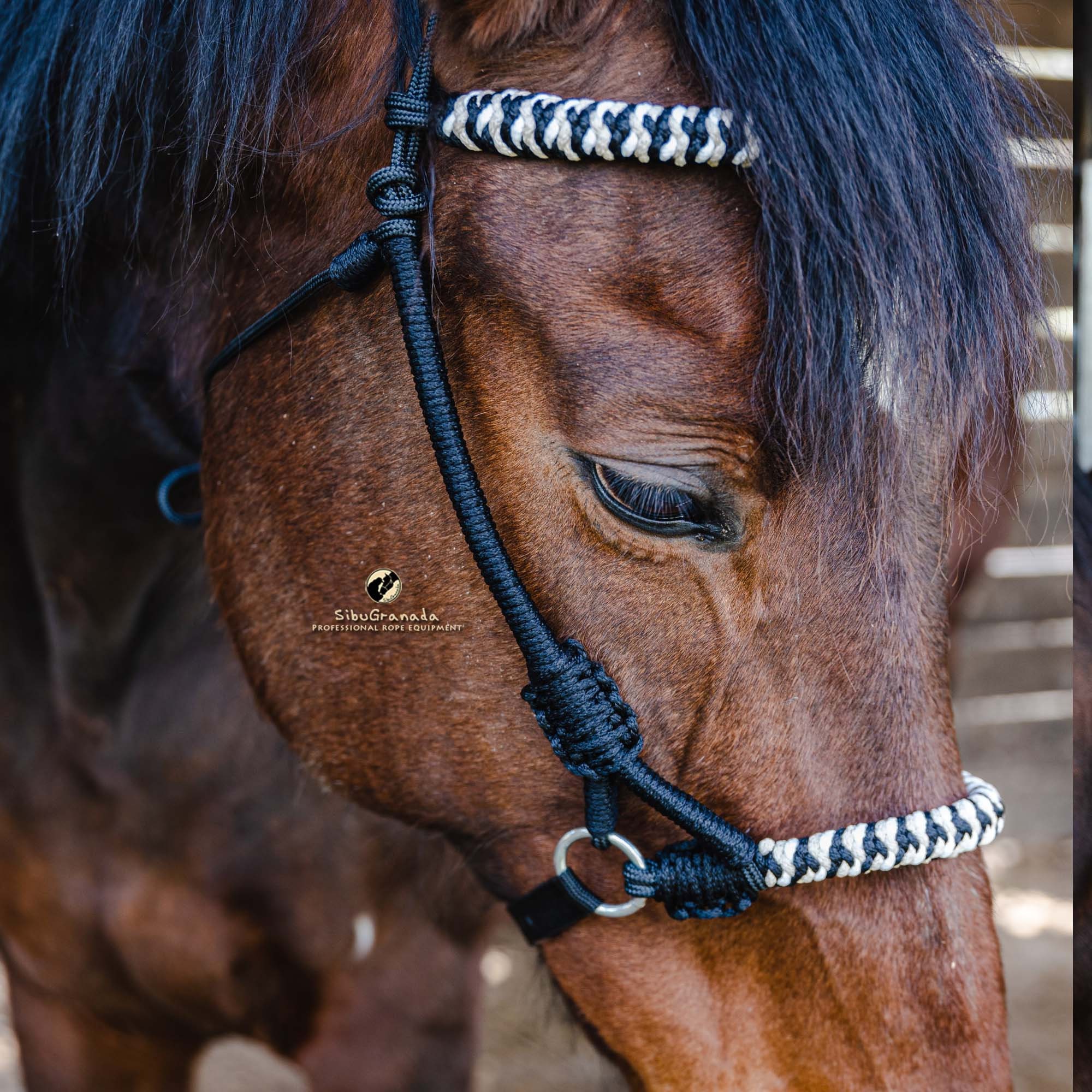Heavy Duty Custom BITLESS BRIDLE - Sibugranada (sidepull, Hackamore ...