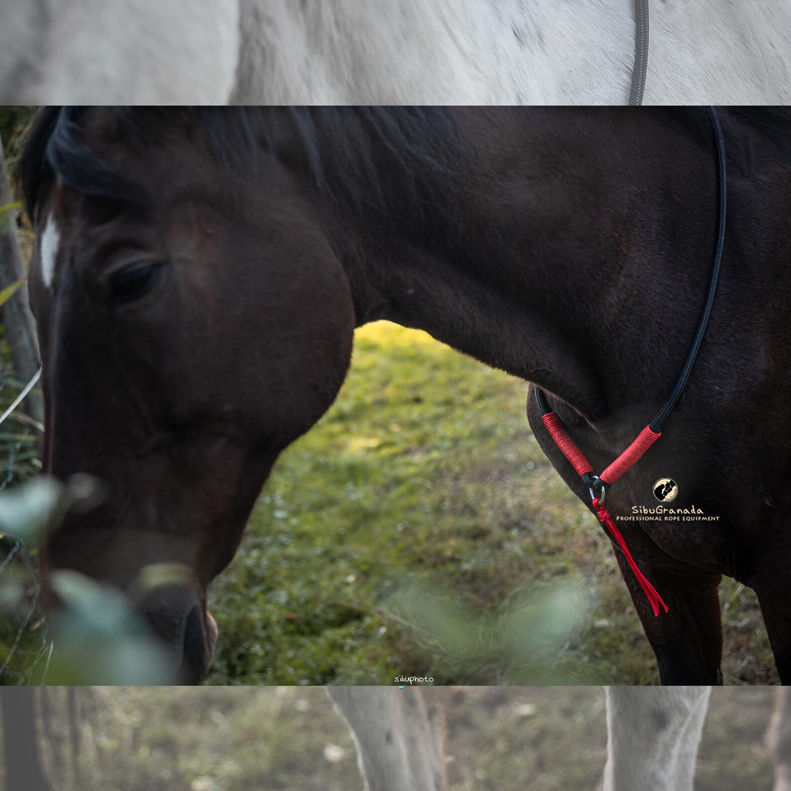 Horse NECK ROPE Cordeo Sibugranada B&rustbrown Heavy Duty | Etsy