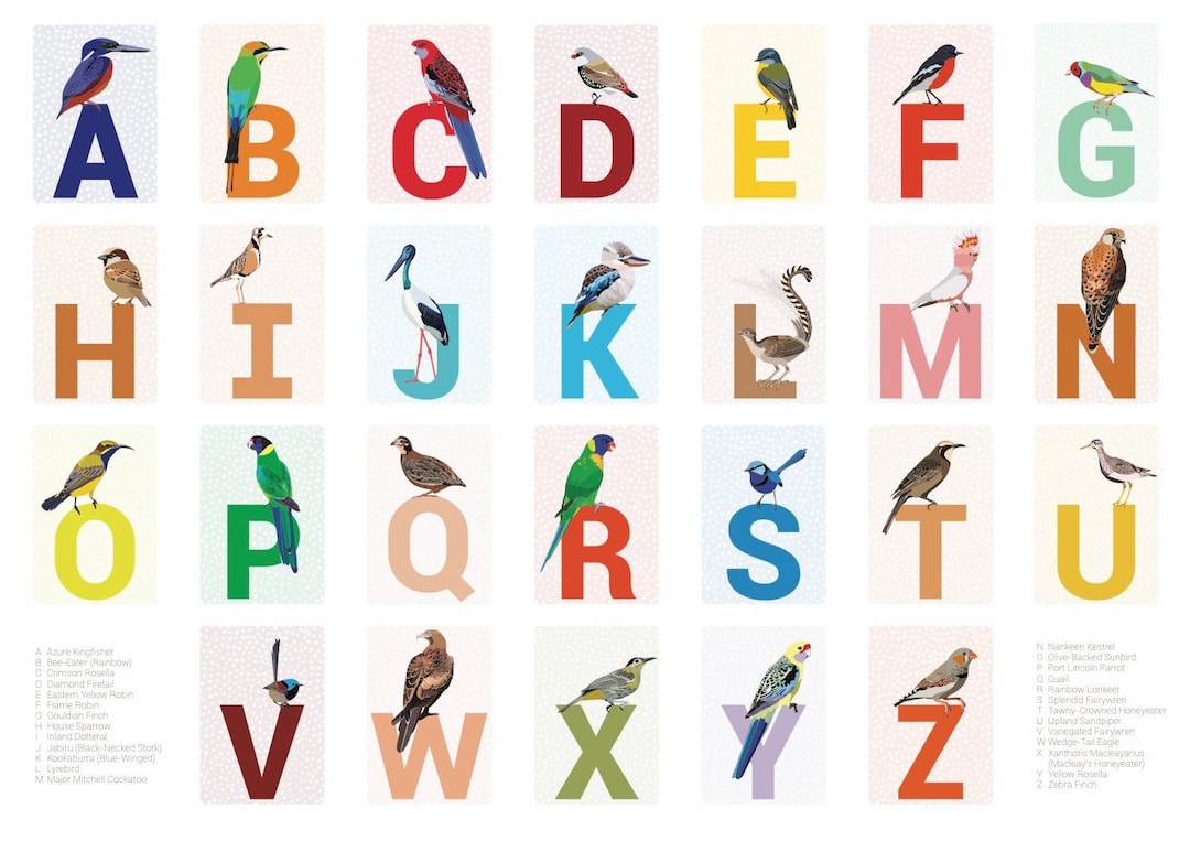 ABC Australian Bird Poster A1 - Etsy Australia