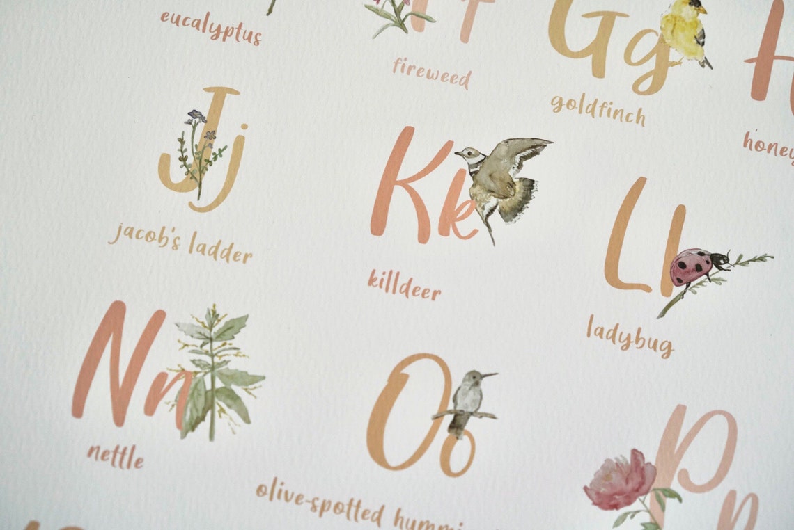 Garden Alphabet Poster/16x20 Print/homeschool Room/flower - Etsy