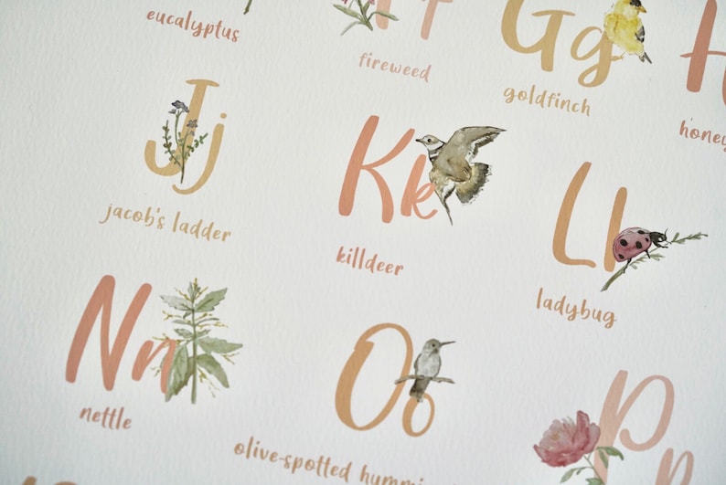 Garden Alphabet Poster/16x20 Print/homeschool Room/flower - Etsy