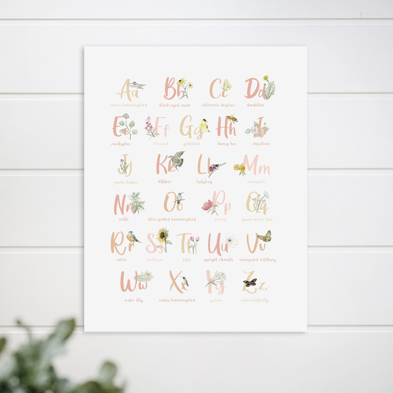Garden Alphabet Poster/16x20 Print/homeschool Room/flower - Etsy