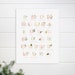 Garden Alphabet Poster/16x20 Print/homeschool Room/flower - Etsy