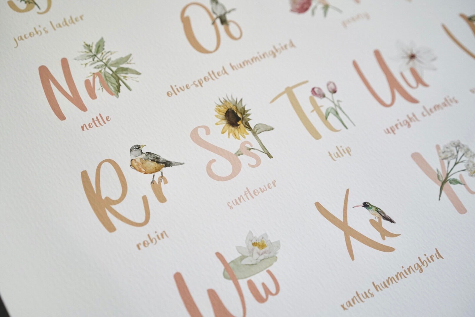 Garden Alphabet Poster/16x20 Print/homeschool Room/flower - Etsy