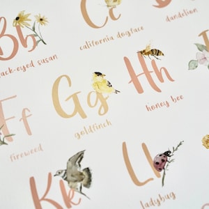Garden Alphabet Poster/16x20 Print/homeschool Room/flower - Etsy