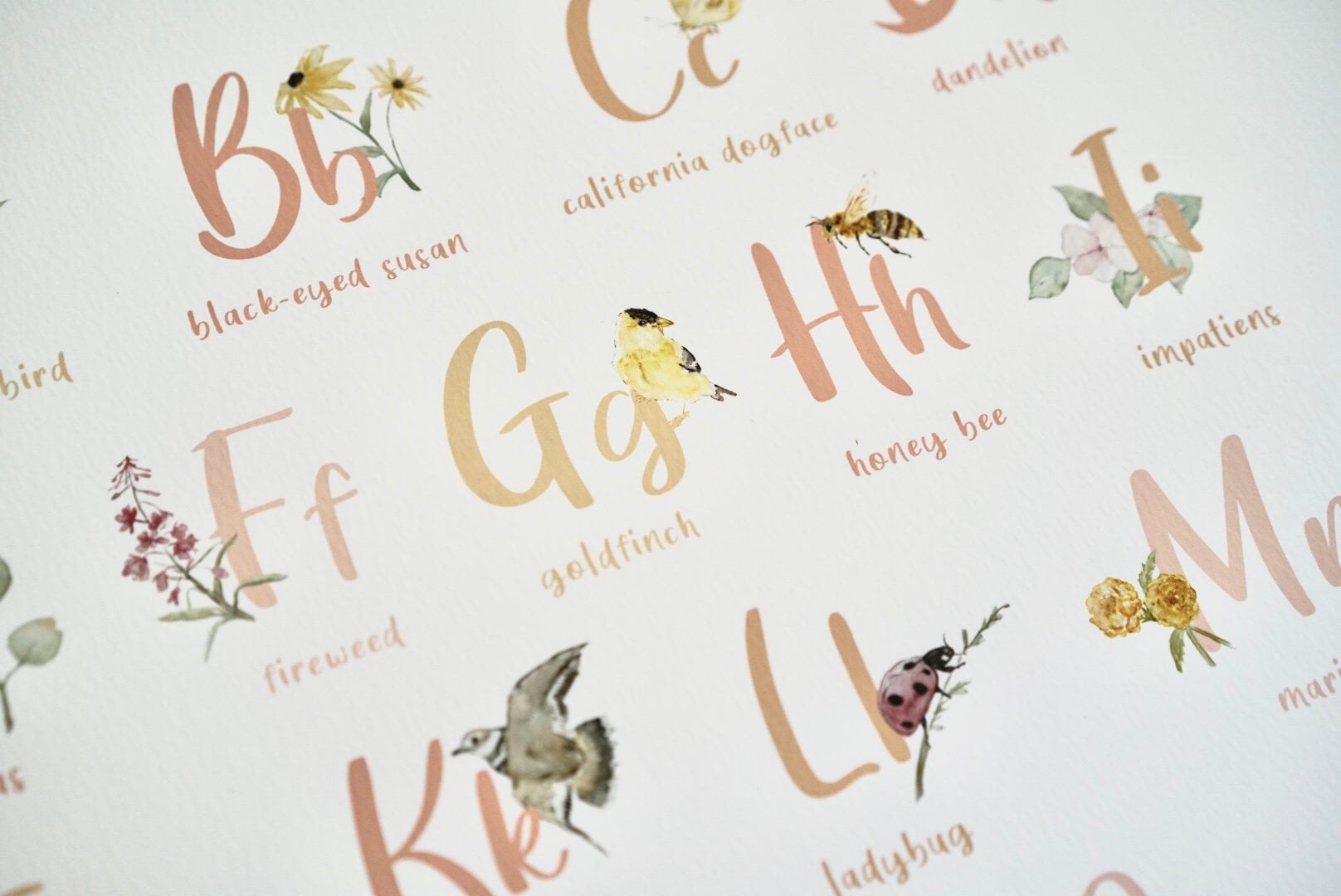 Garden Alphabet Poster/16x20 Print/homeschool Room/flower - Etsy