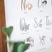 Safari Alphabet Poster Print, 16x20 Watercolor Art, Neutral Jungle ...